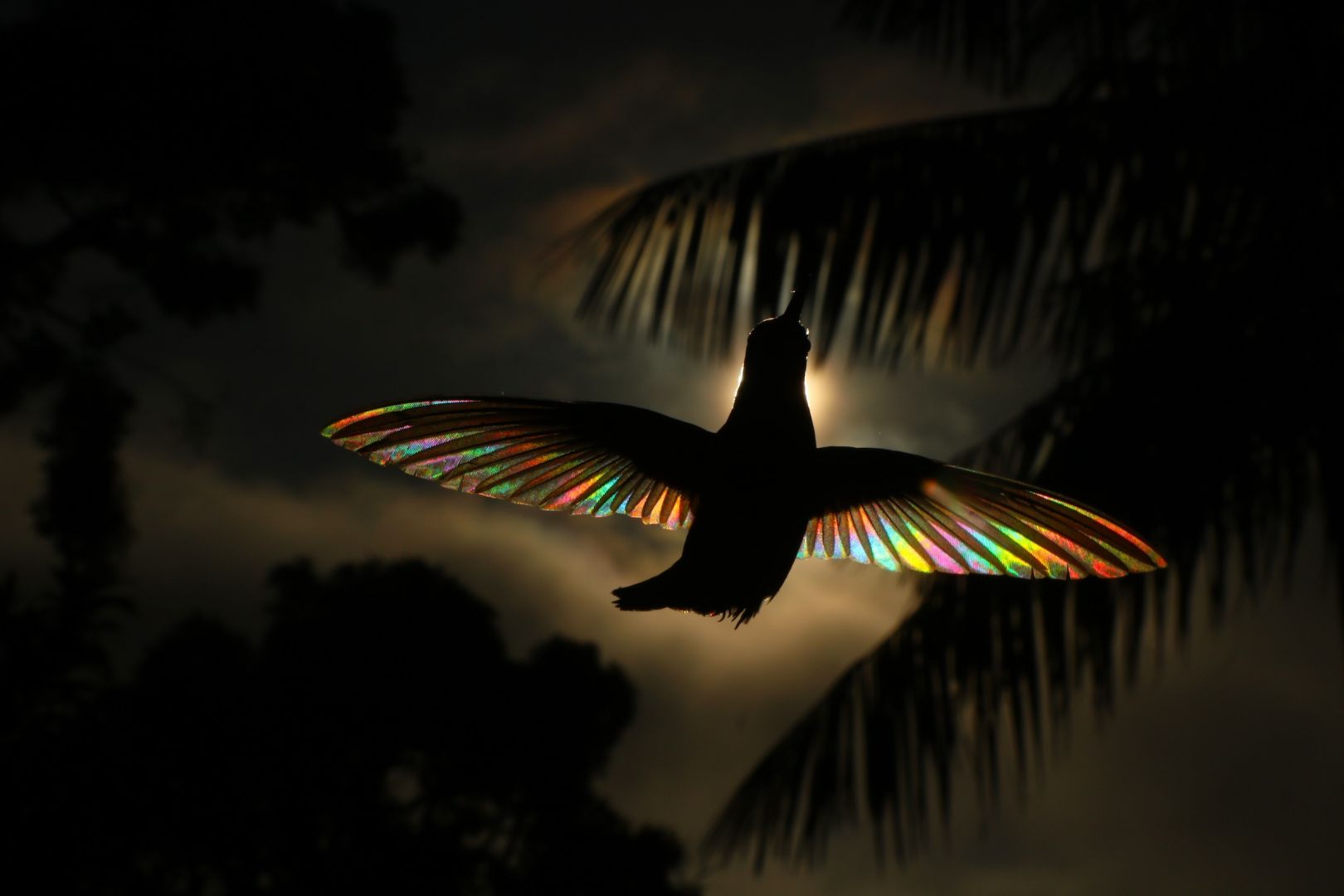 Photographs that capture the rainbow prism-effect of sunlight passing ...