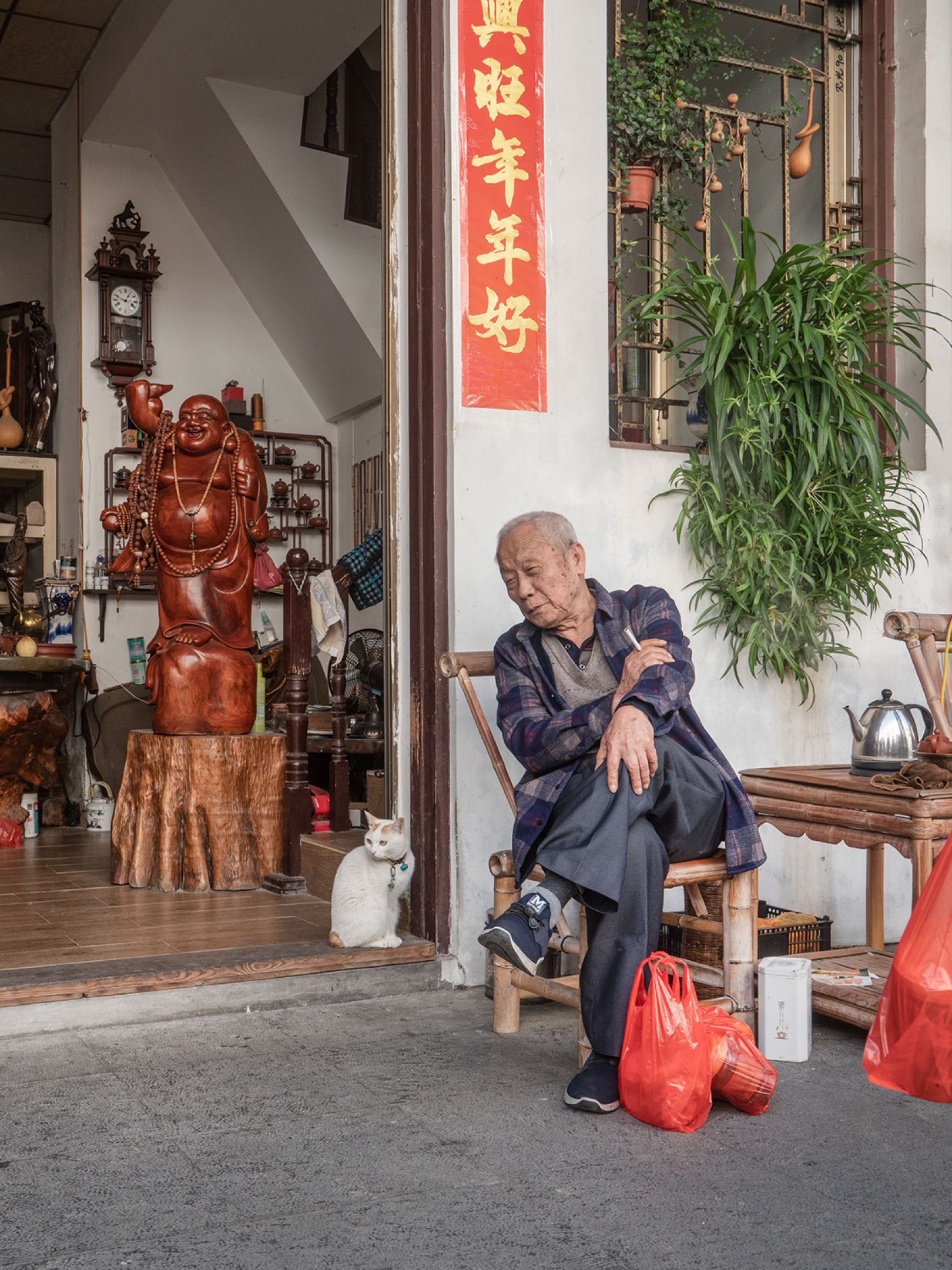 Photographs of the 'Shop Cats of China' offer a unique glimpse into ...