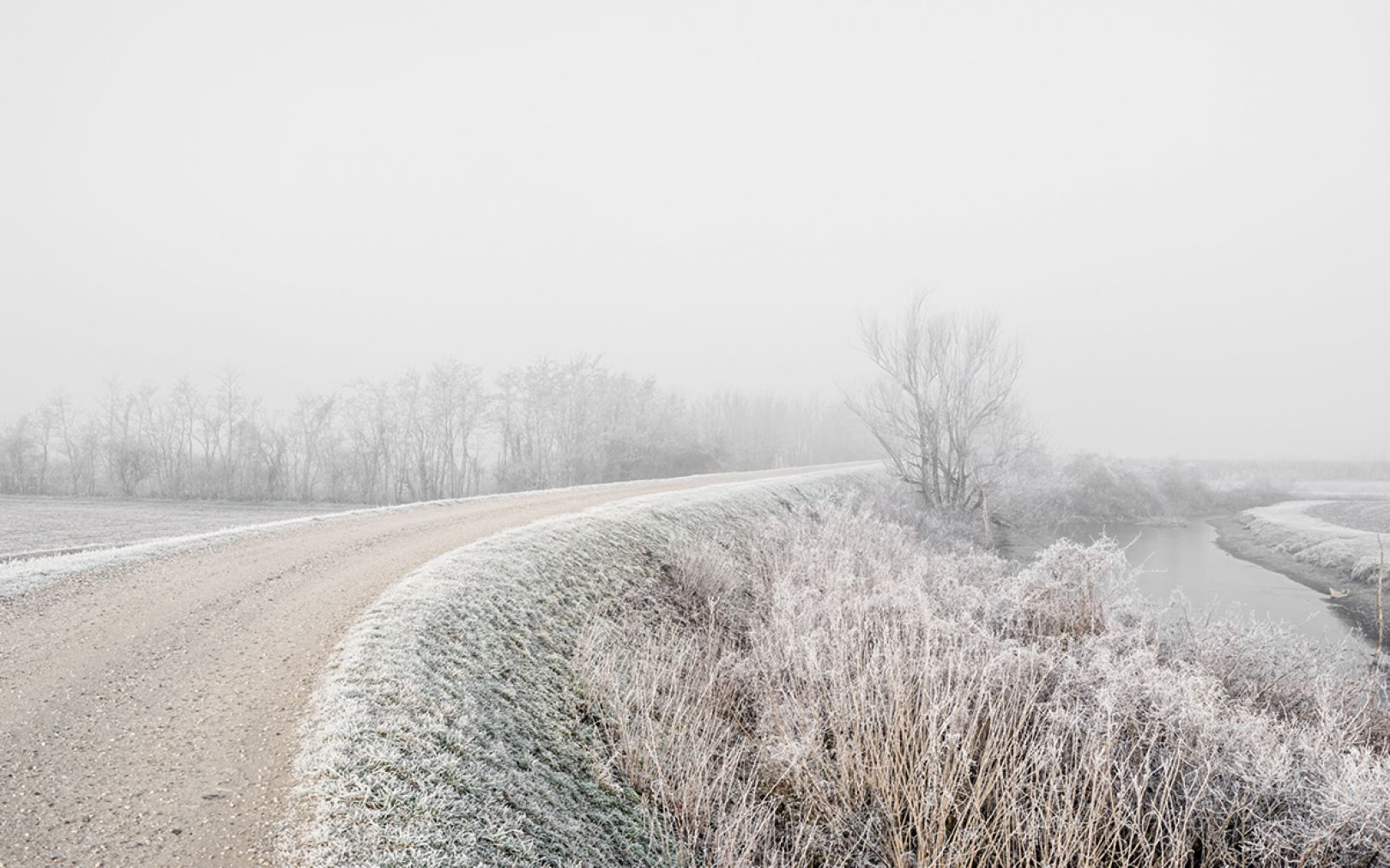 Silver Morning: Alessandro Zanoni documents a freezing winter's morning ...