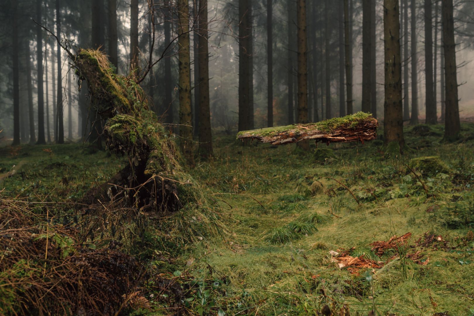 Haunting photography series by Florian Mueller explores rapid eye ...
