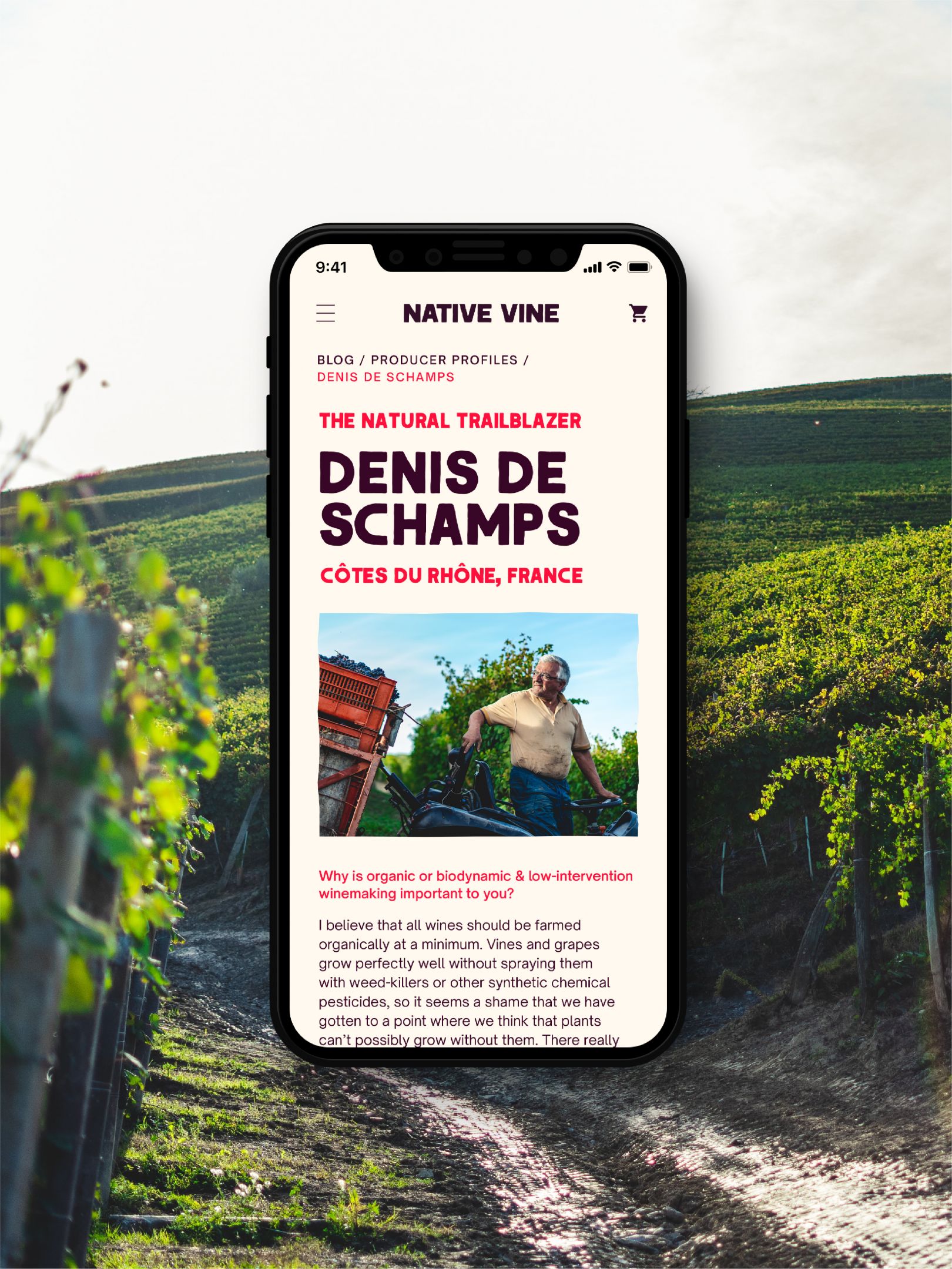 Fiasco's new identity for Native Vine captures the colours, flavours ...