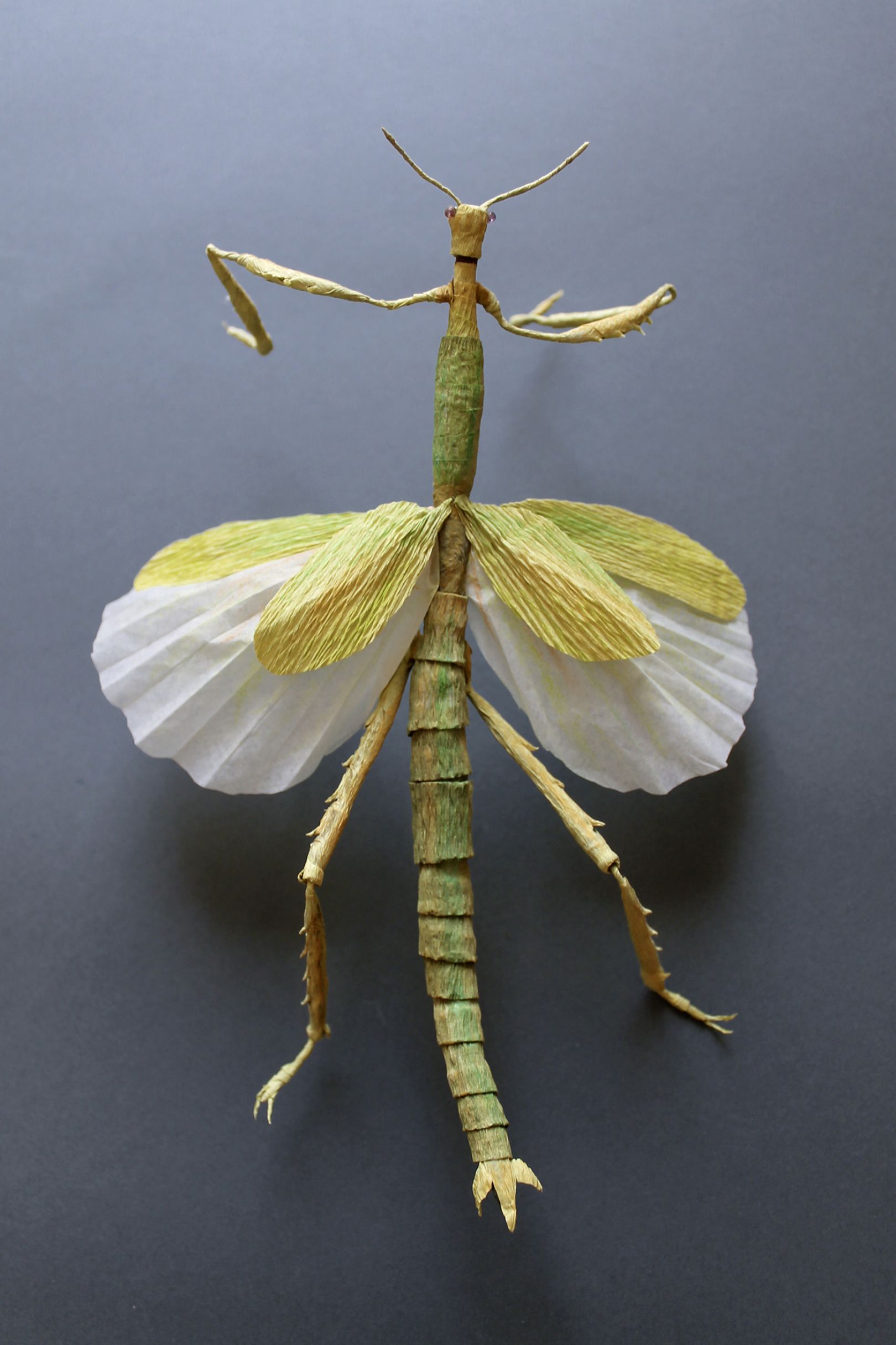 Life-like paper insects painstakingly made from fine crepe paper ...