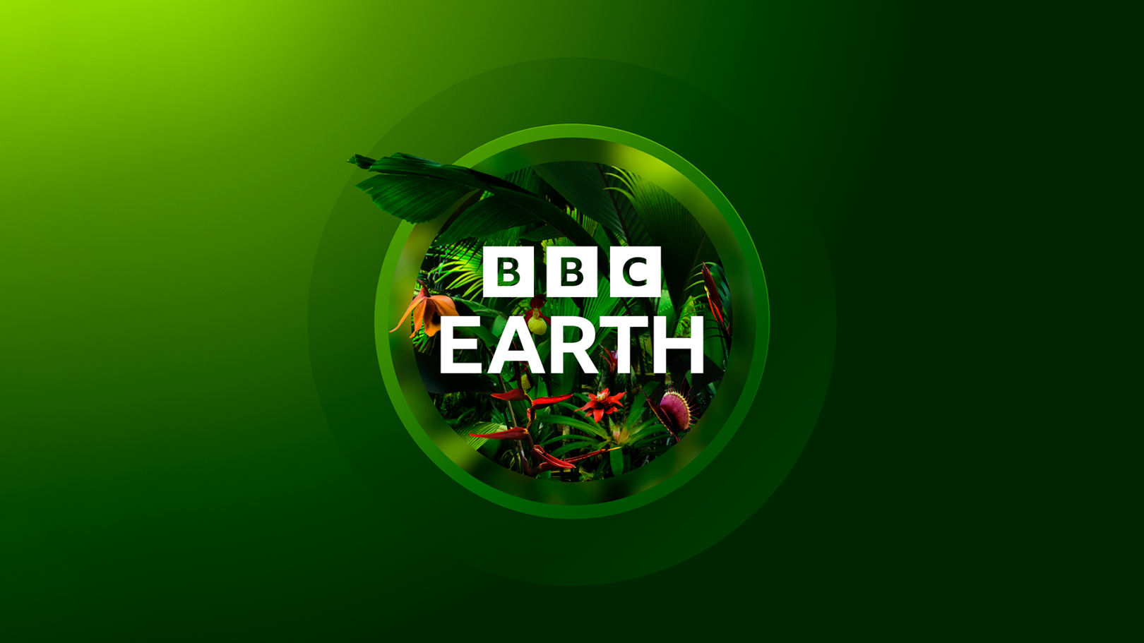 New logo for BBC Earth repositions the global brand as a 'Window to the ...