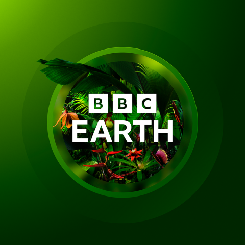 Street Ballet: Photographer captures ballet dancers leaping all over ...