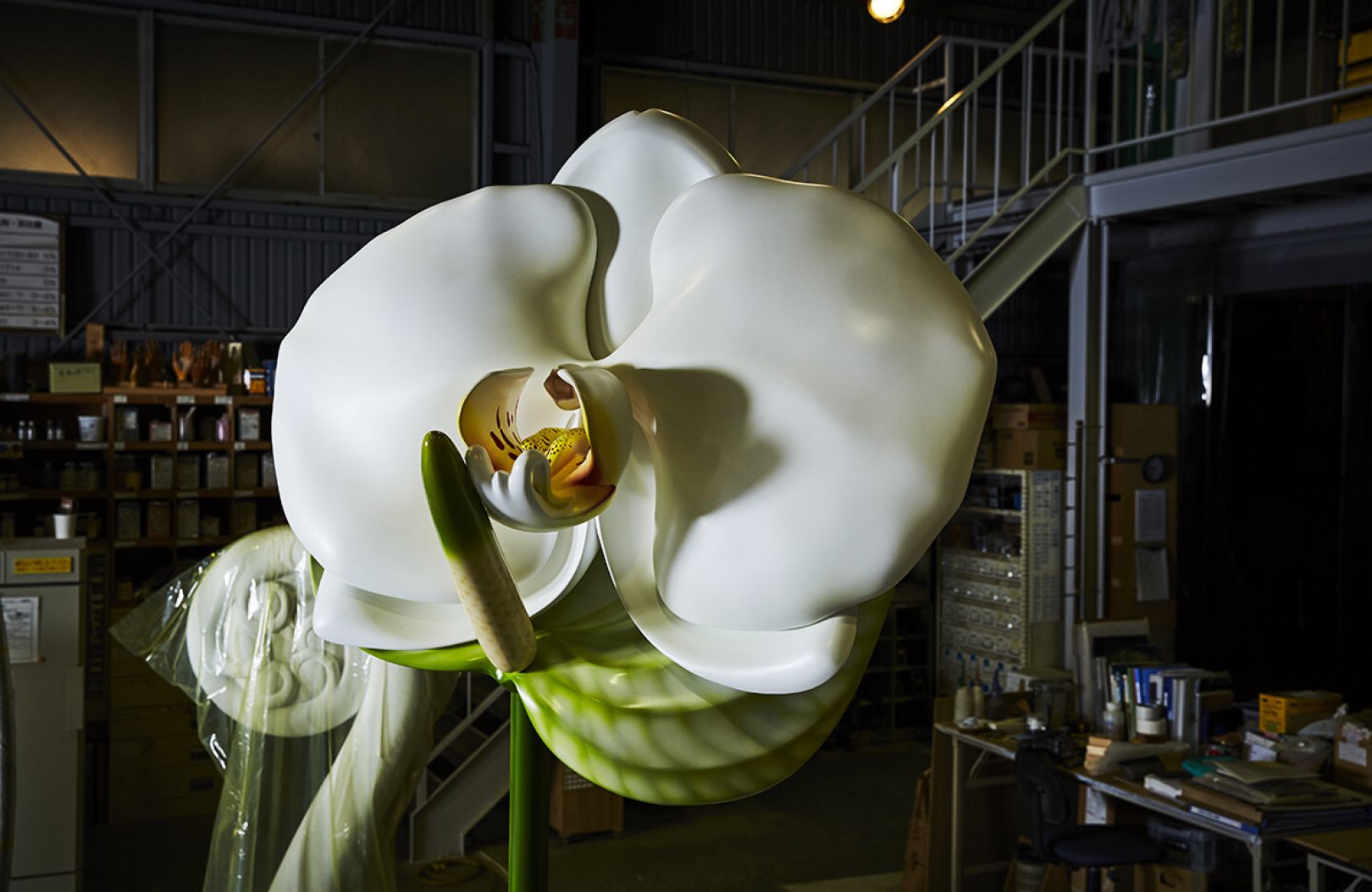 Rockstar turned artist Azuma Makoto and his giant botanical hybrid ...