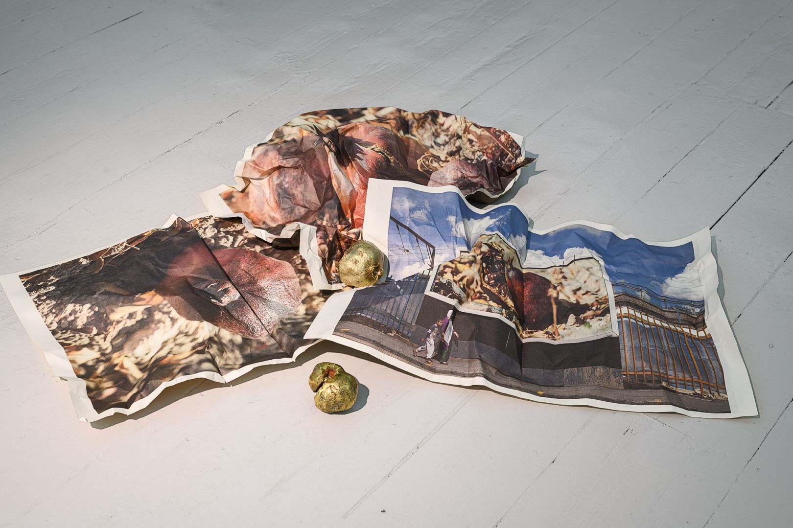 Mustafa Hulusi's botanical oil paintings speak to a sense of nostalgic ...