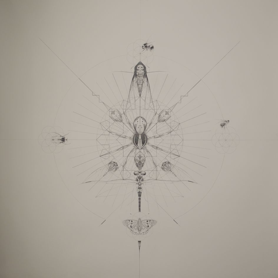 Creation: Artist Jessica Albarn creates a living meadow and turns land ...