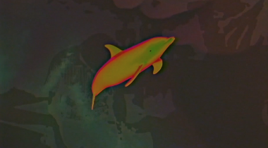 Moby Digg creates new identity and typefaces for blockchain-based ...