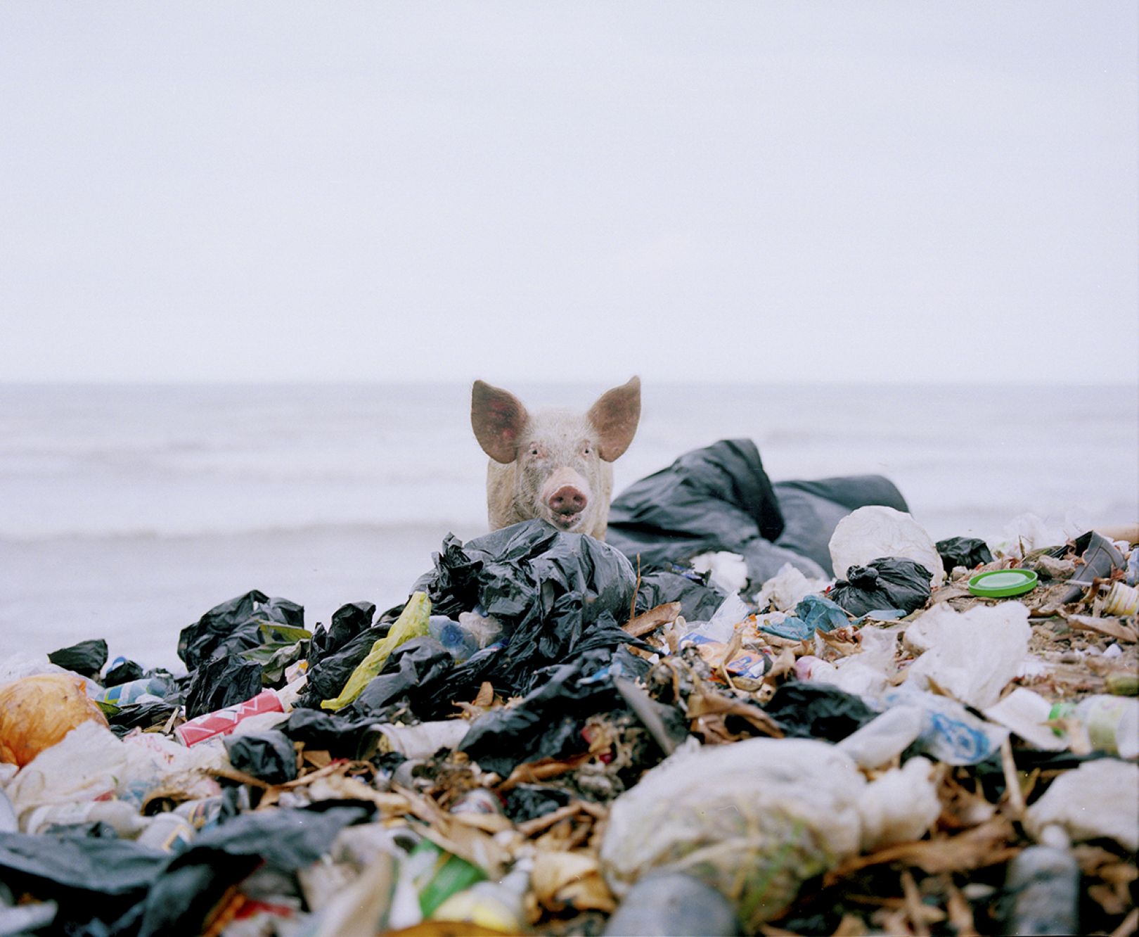 Kent Andreasen documents life through a lens, turning the ordinary into ...