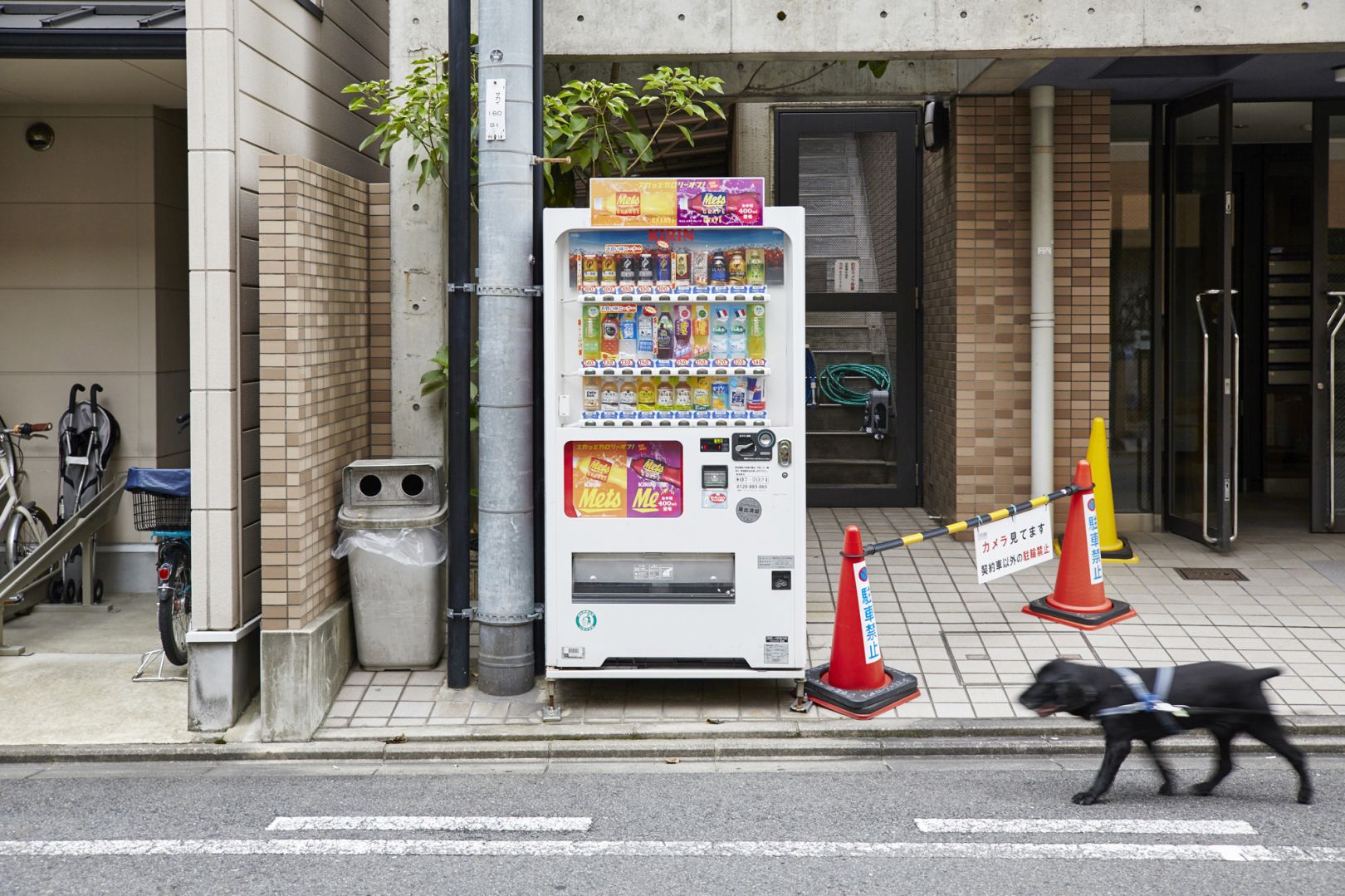 Jidouhanbaiki: Photo series that explores Japan's obsession with ...