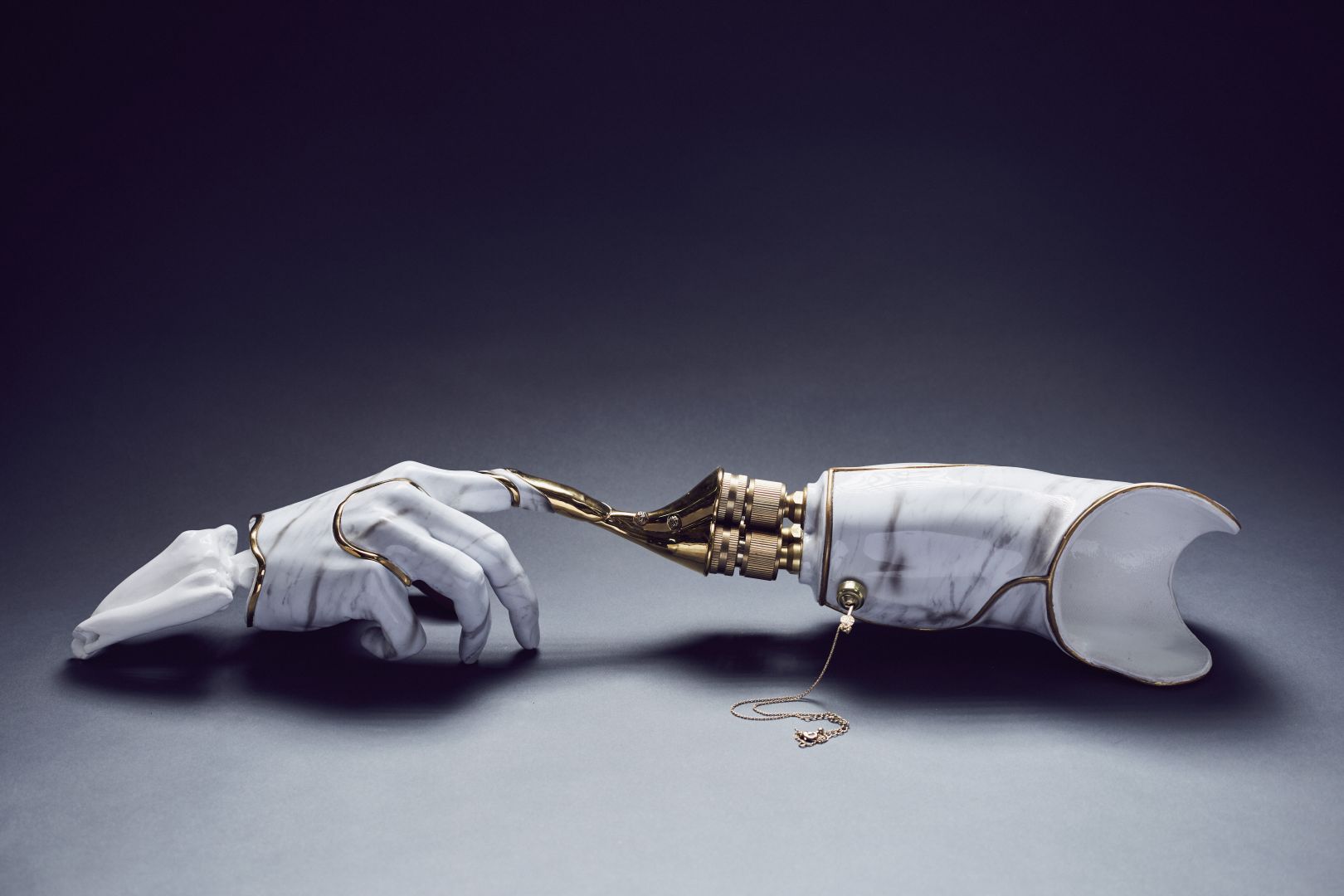 The Alternative Limb Project by Sophie de Oliveira Barata is where art ...