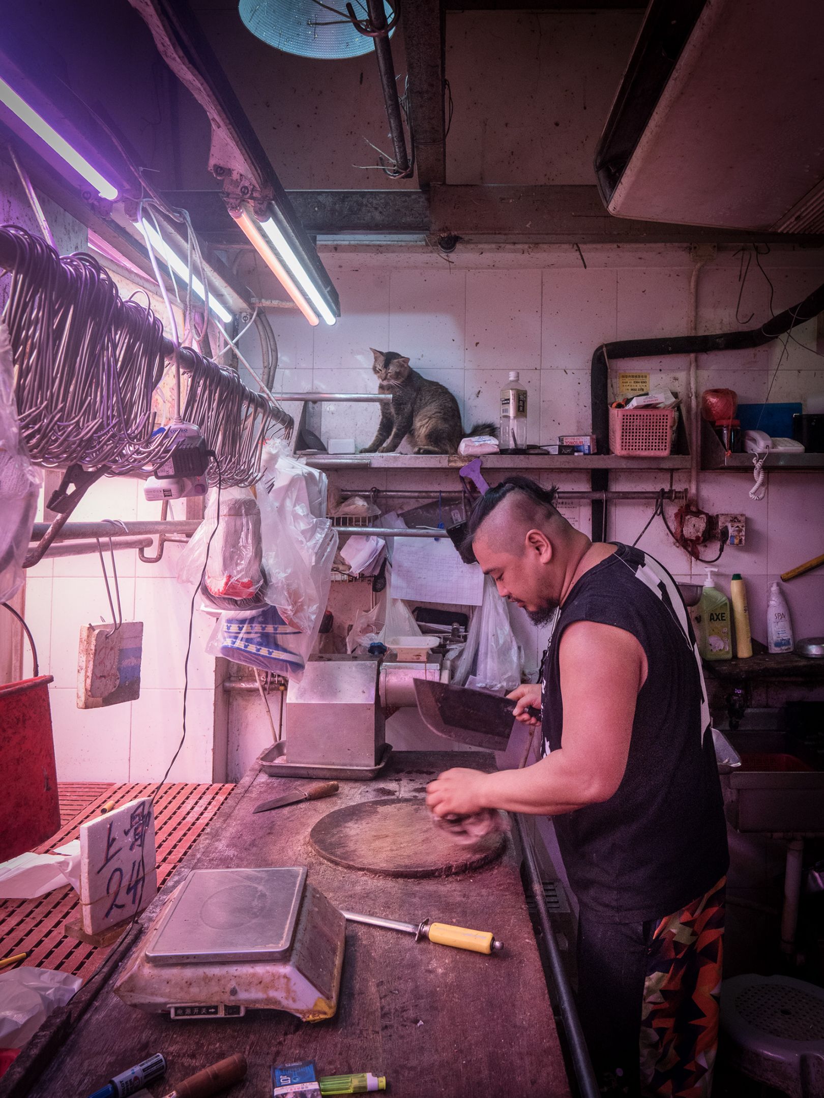 Photographer reveals the secret lives of Hong Kong's market cats in ...