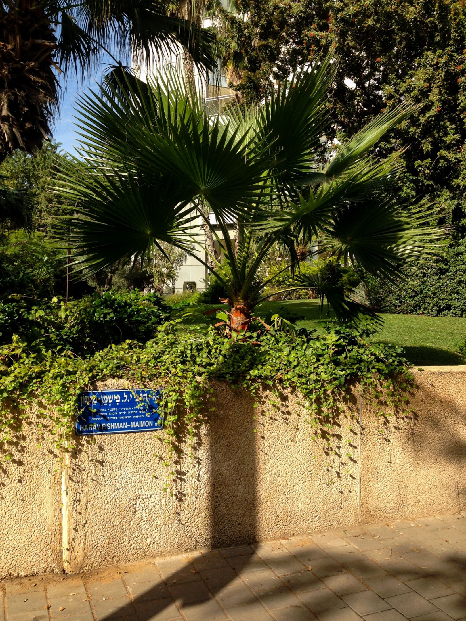 Urban Nature: David Goldstein shows the beauty of cities coexisting ...