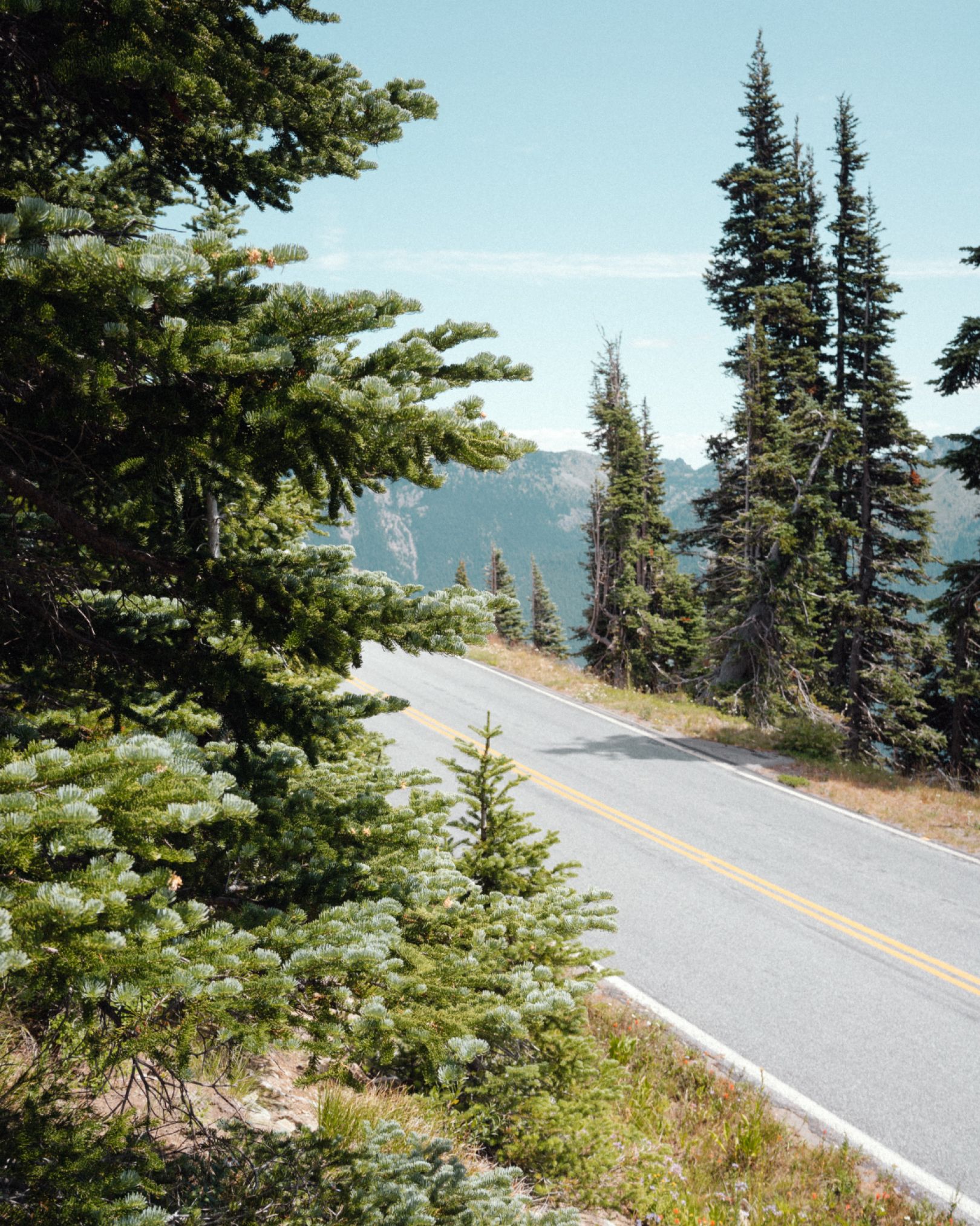 Nowhere in Particular: A delicious visual document of the many sides of ...