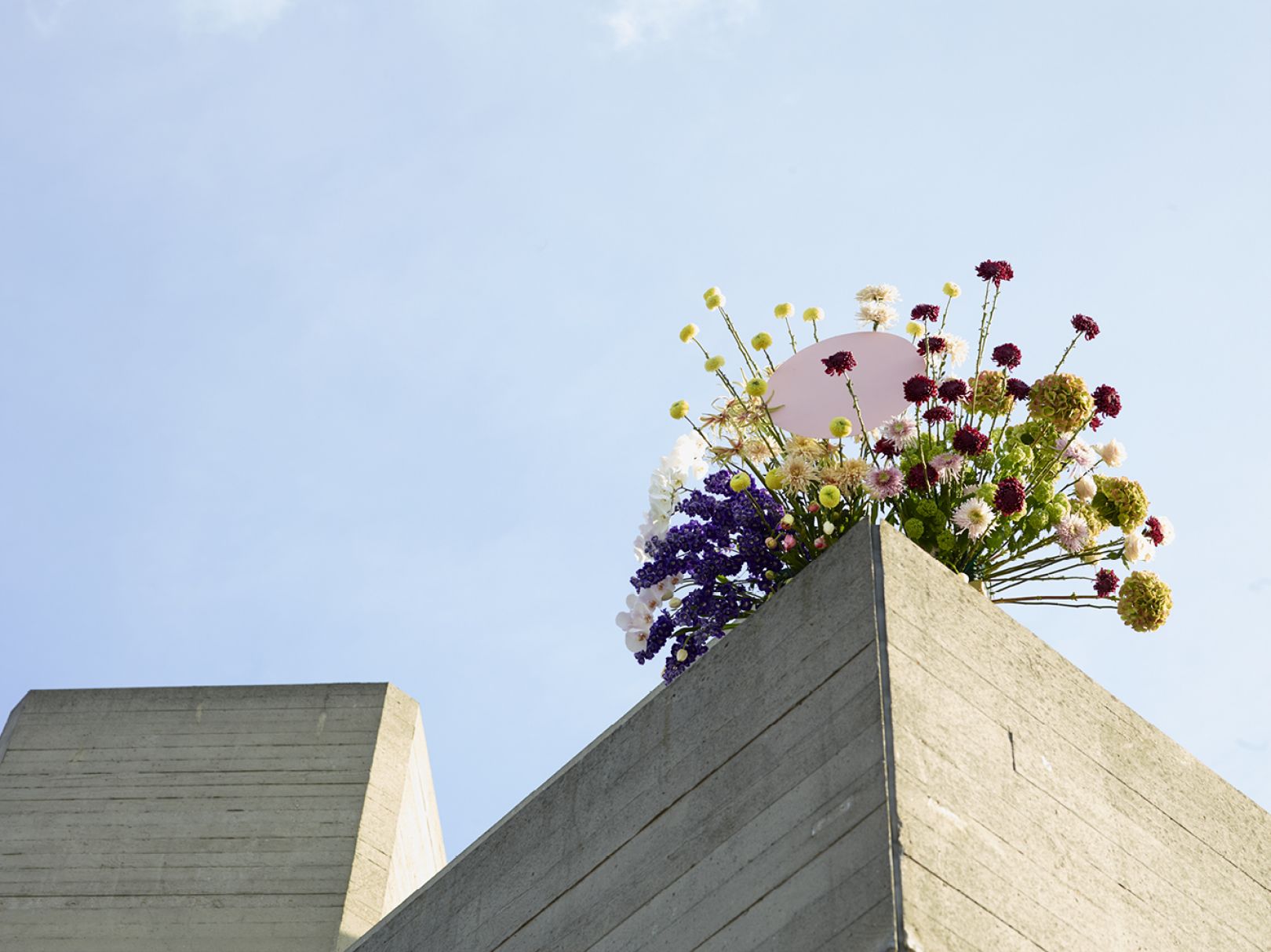 Fresh approach to floristry: Supafrank & Reed Words help launch the ...