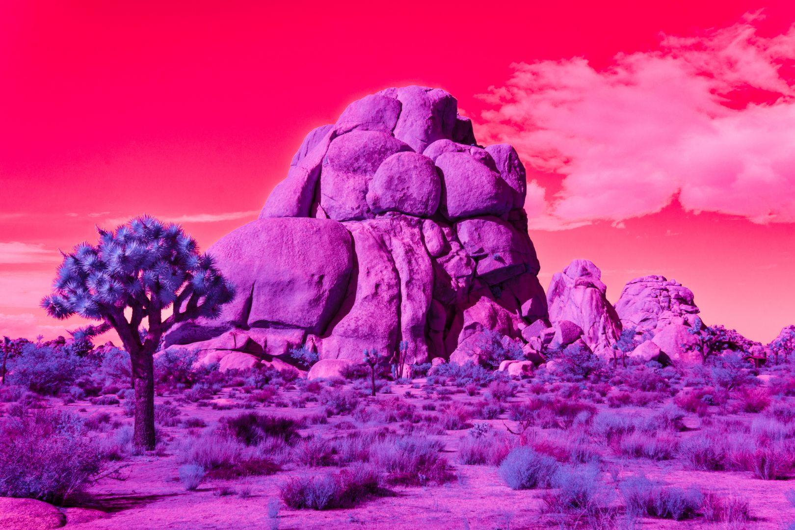 Seductive infrared photography that turns Southern California into a ...