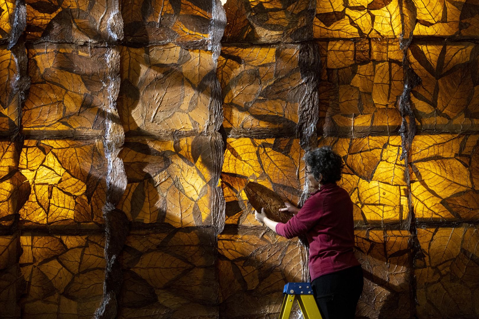 Rethinking space: why Lidia León's Conexión is the most important art ...