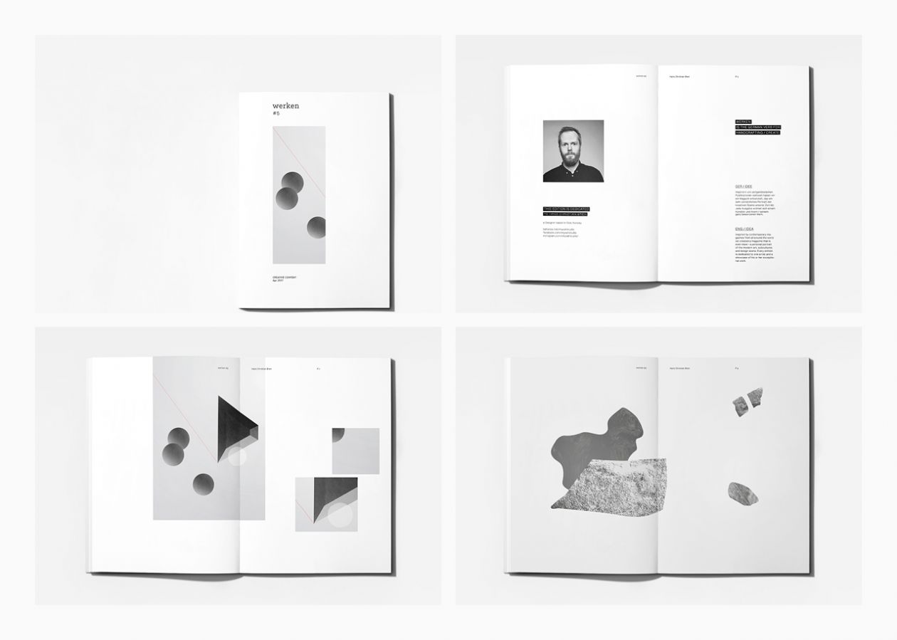 Secret Portraits: 100 days of intriguing secrets illustrated by Terence ...