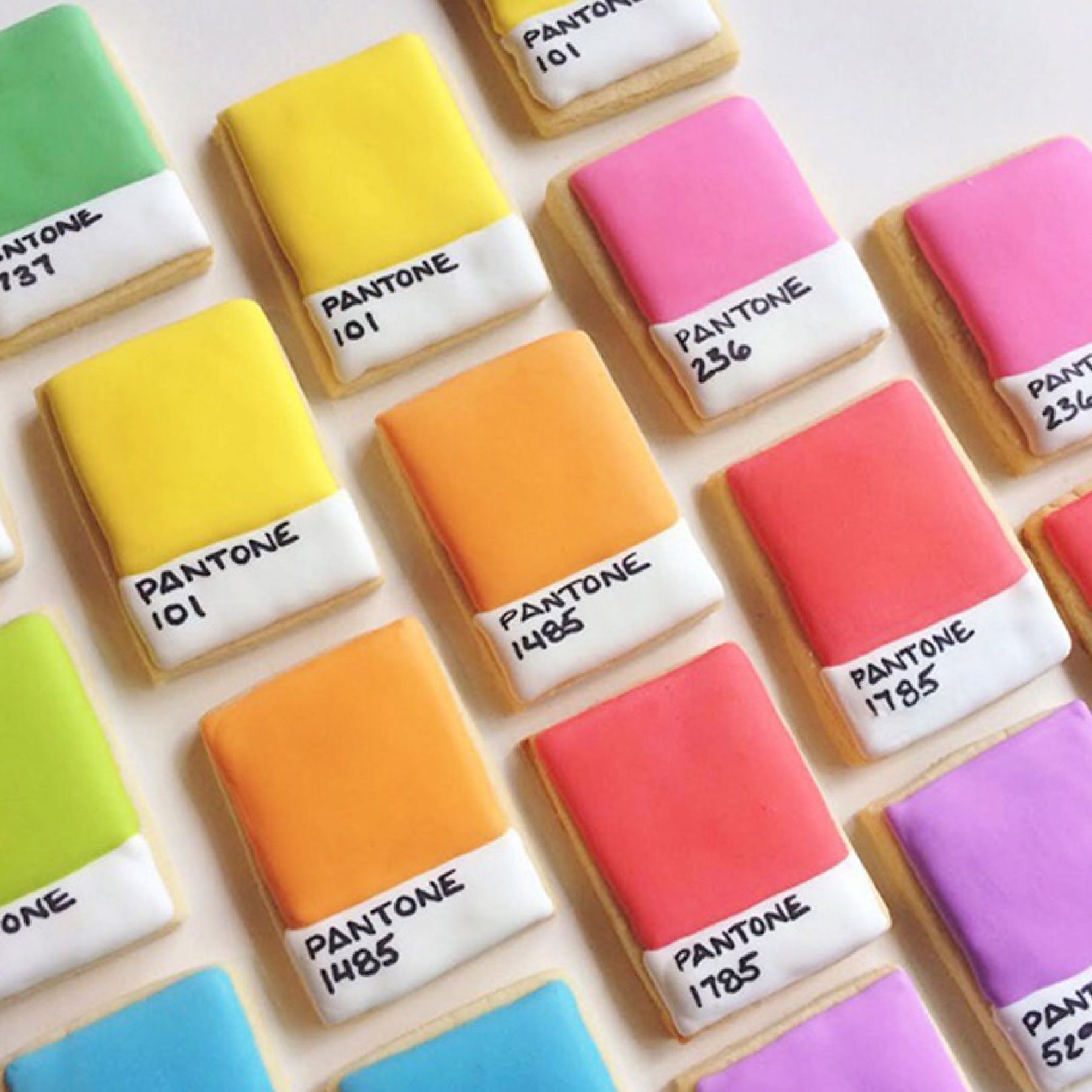 Graphic designer uses her own design skills to craft colourful sugar ...