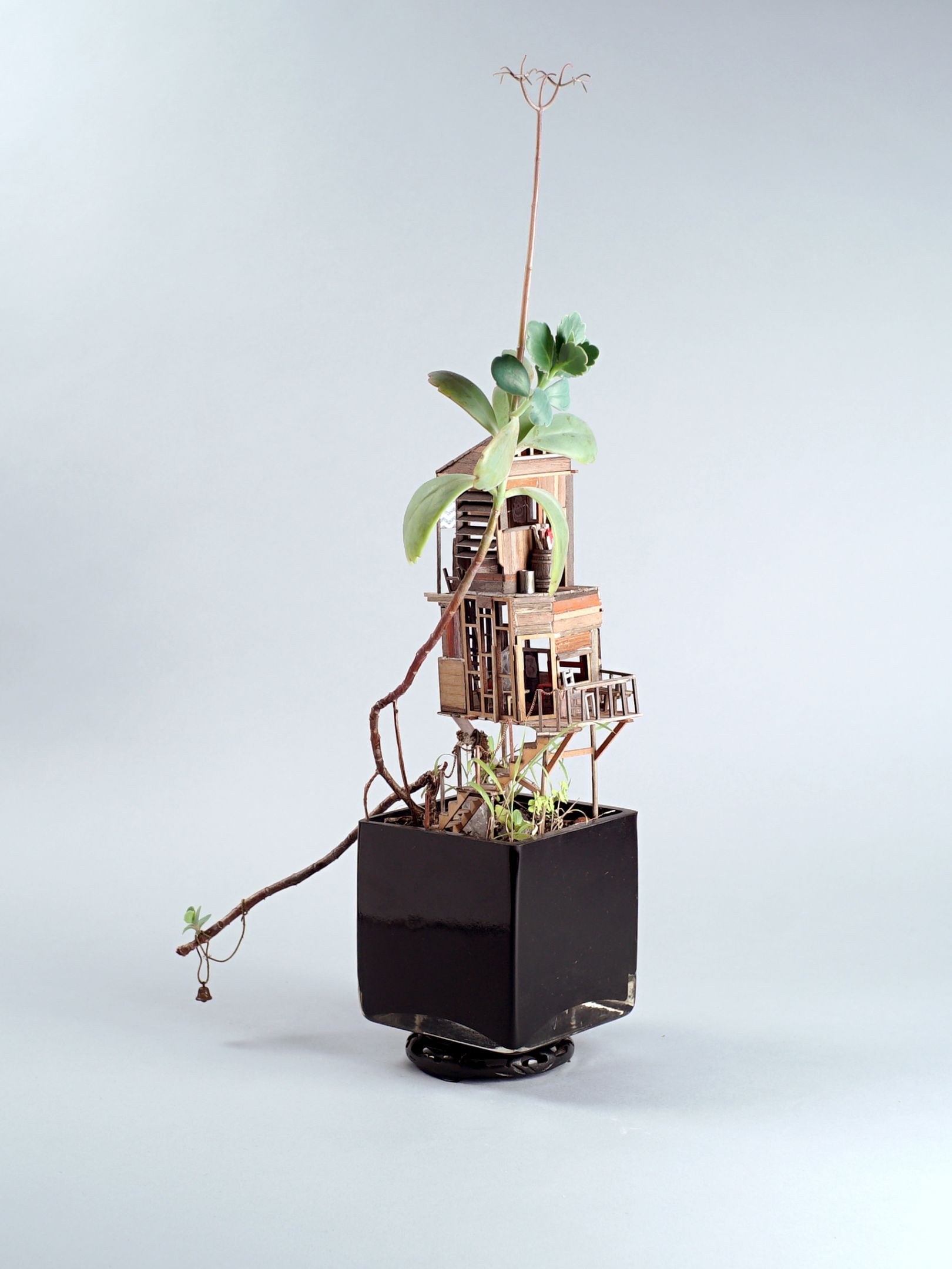 Artist crafts miniature treehouse sculptures to sit within ordinary ...