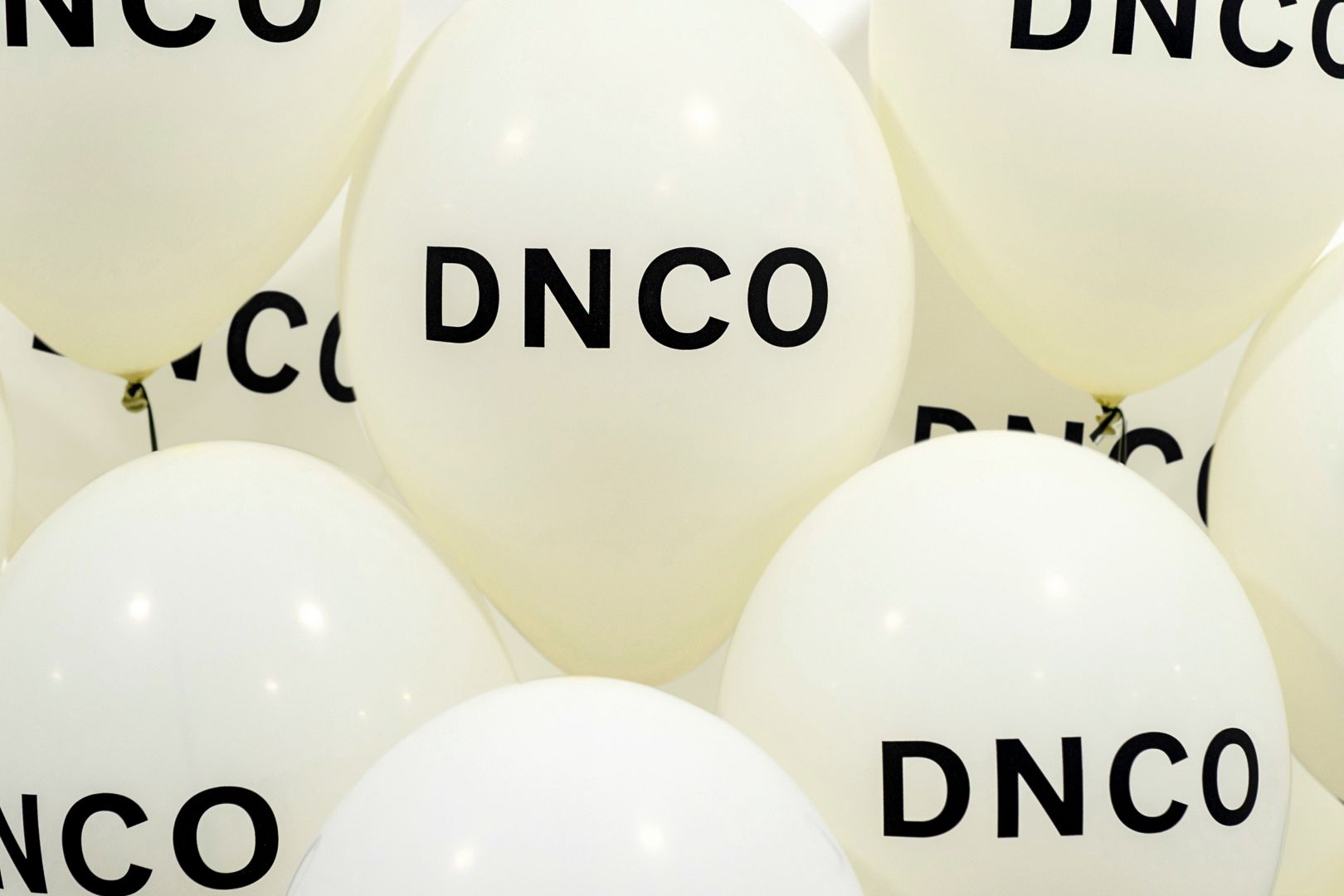 dn&co becomes DNCO as it celebrates success and gets ready for more ...