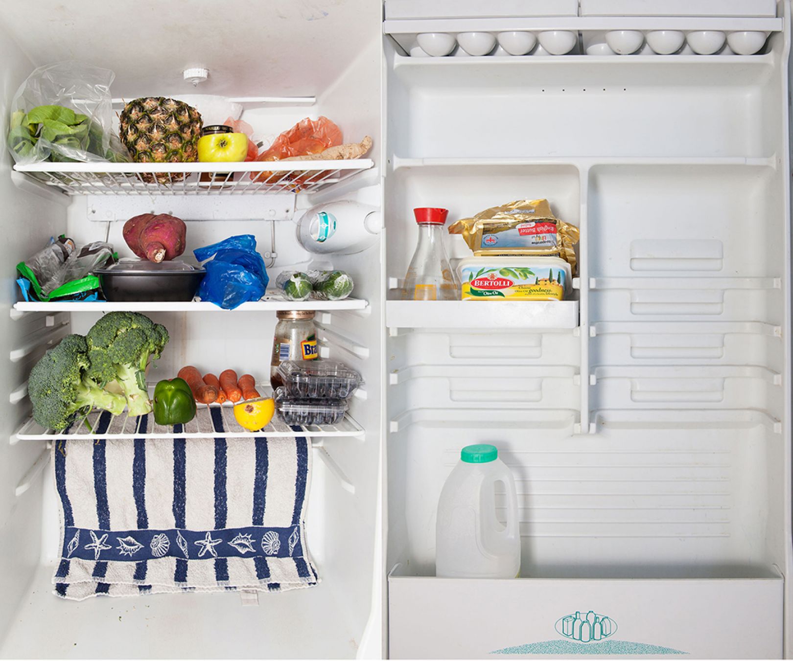 Show Me Your Fridge: Sandra Junker's photographic document of fridges ...