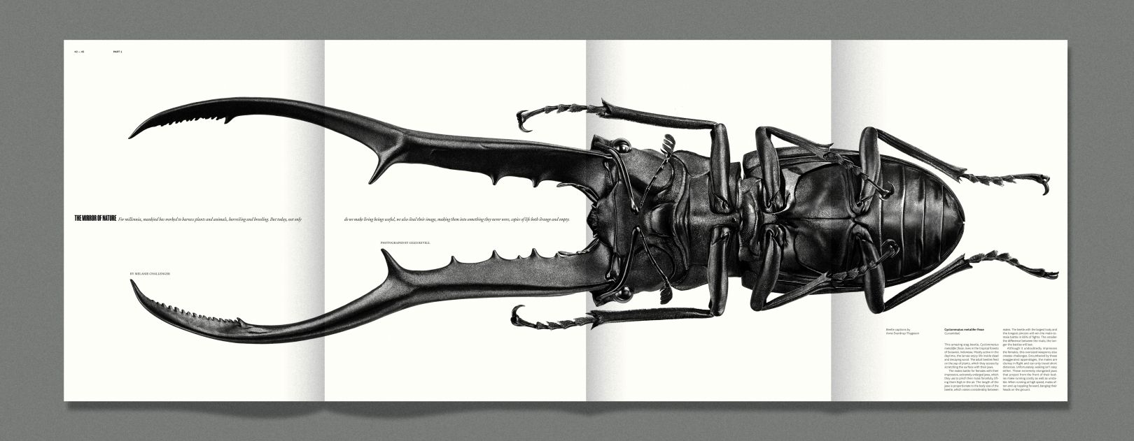 'Art always helps us to see the new': INQUE editor Dan Crowe on the ...