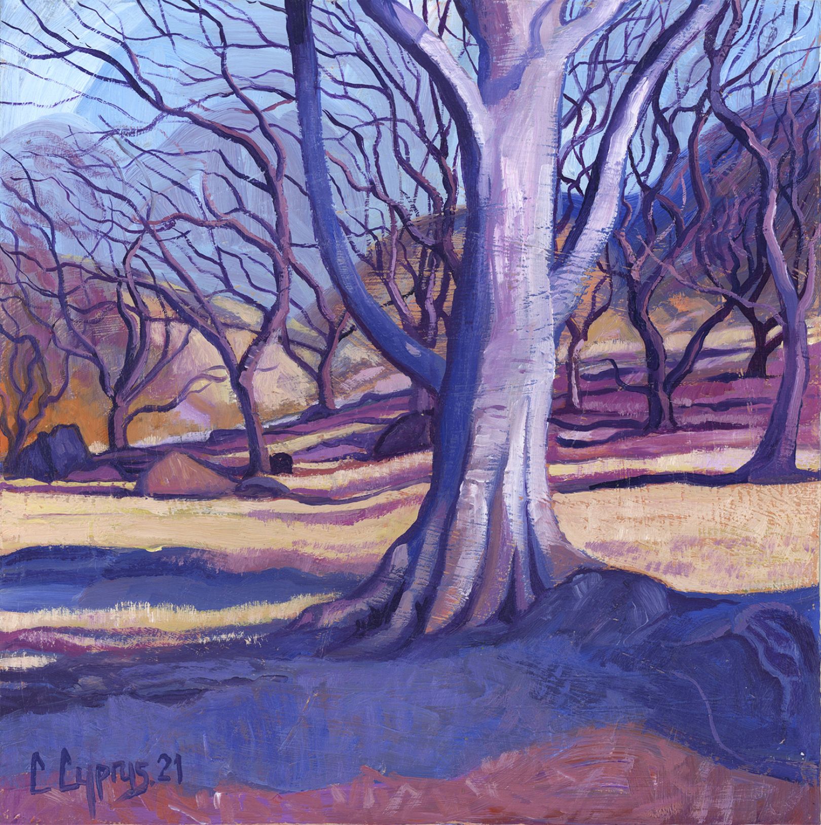 Chris Cyprus' dream-like treescape paintings have been twenty years in ...