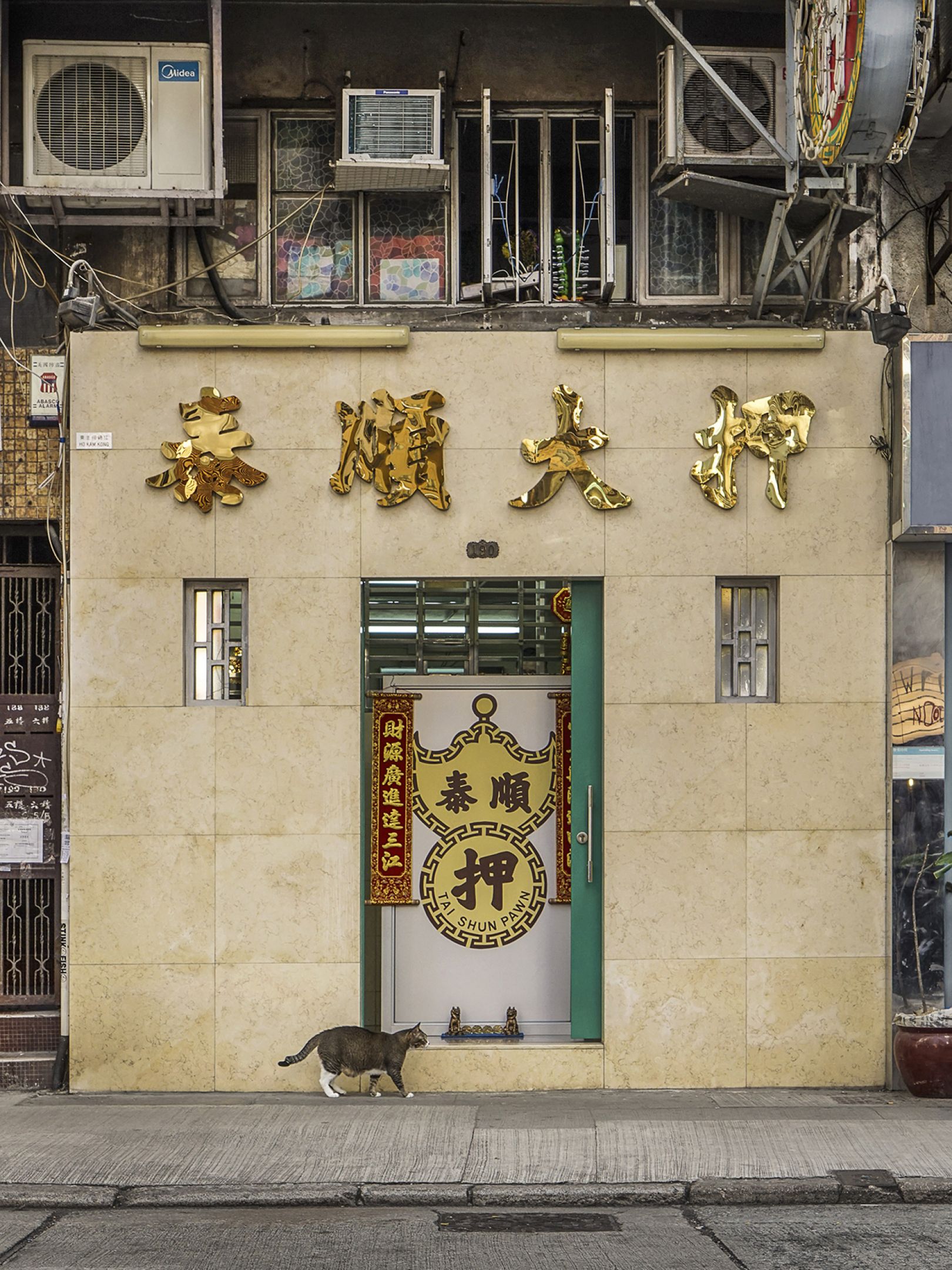 Shop Cats: Photographer captures charming felines living in Hong Kong's ...
