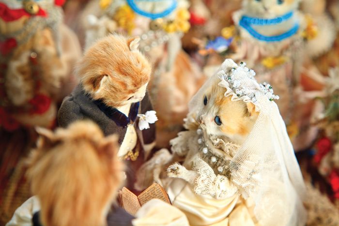 Objects: Artist pays homage to Wes Anderson movies by creating posters ...