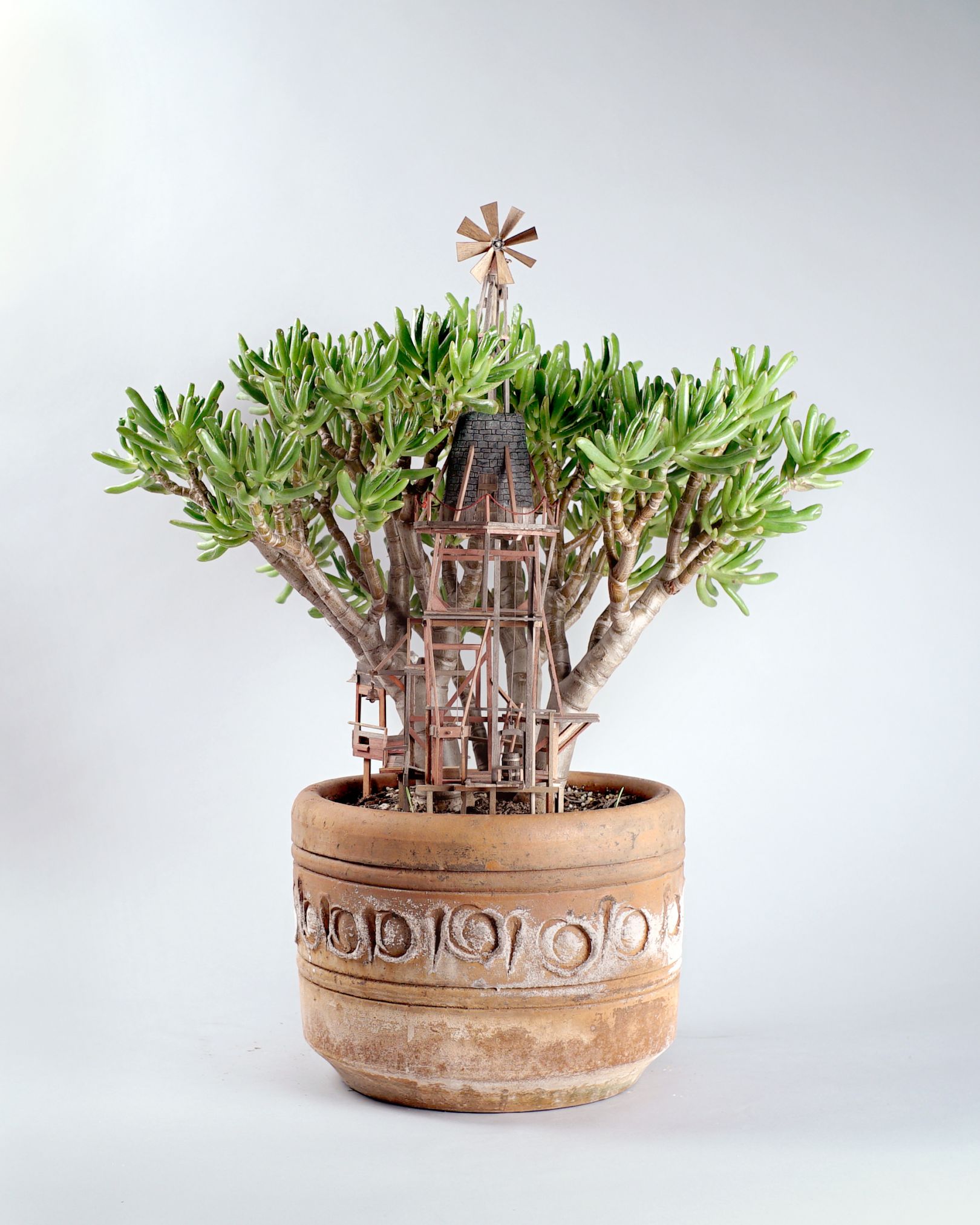 Artist crafts miniature treehouse sculptures to sit within ordinary ...