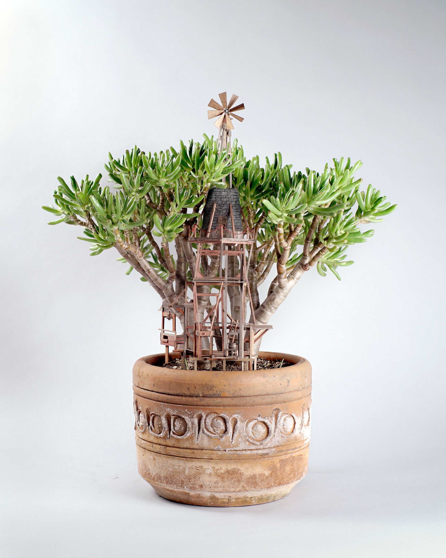 Artist crafts miniature treehouse sculptures to sit within ordinary ...