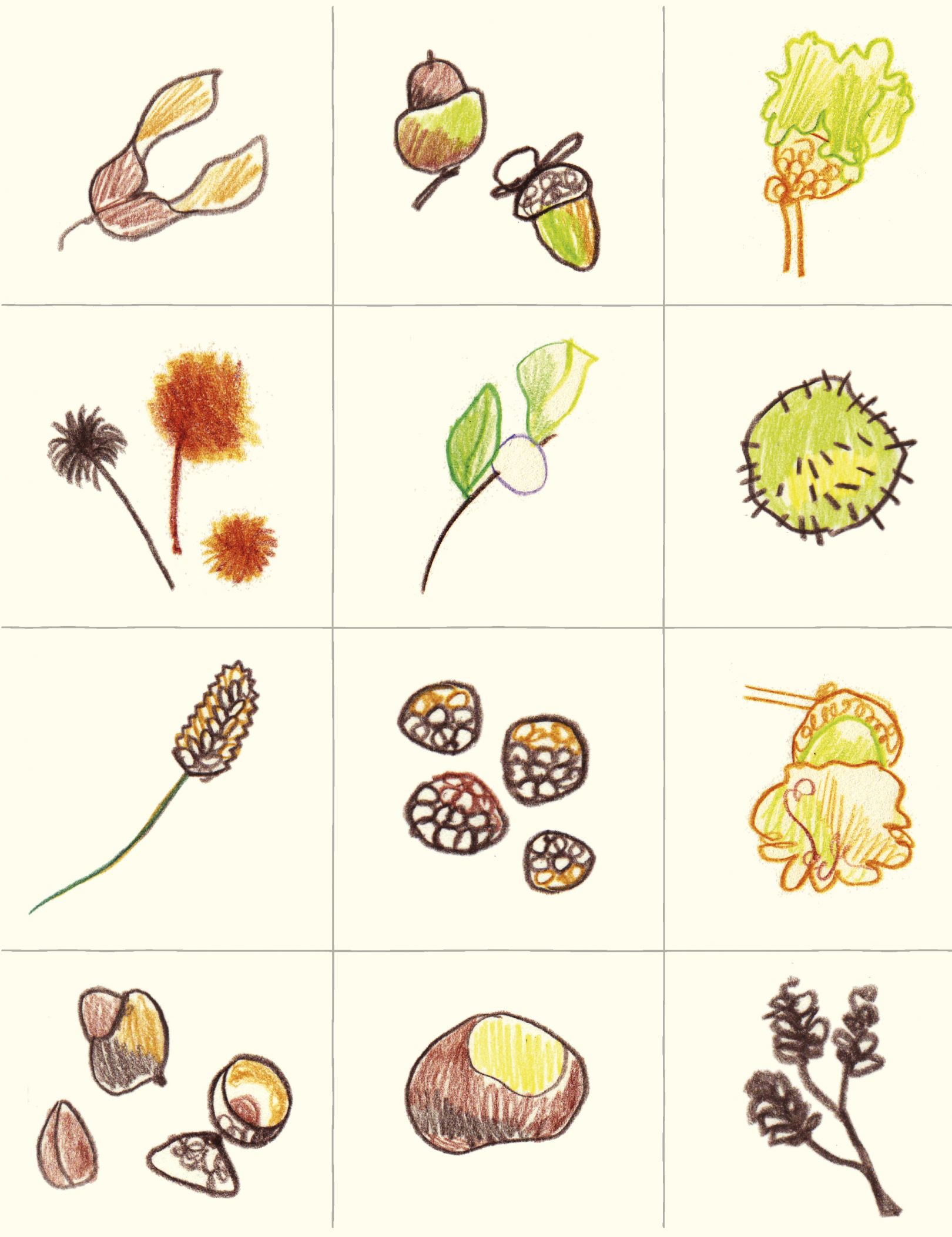 How drawing can help us appreciate the little things in life | Creative ...