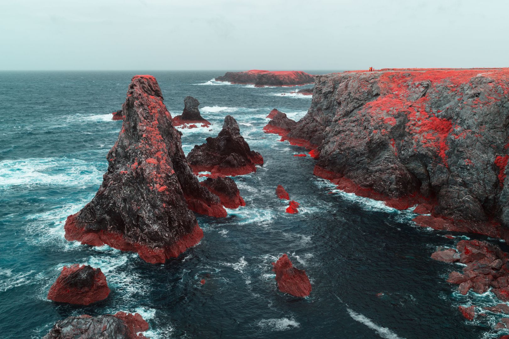 Infrared photographs reminiscent of the French flag paint a patriotic ...