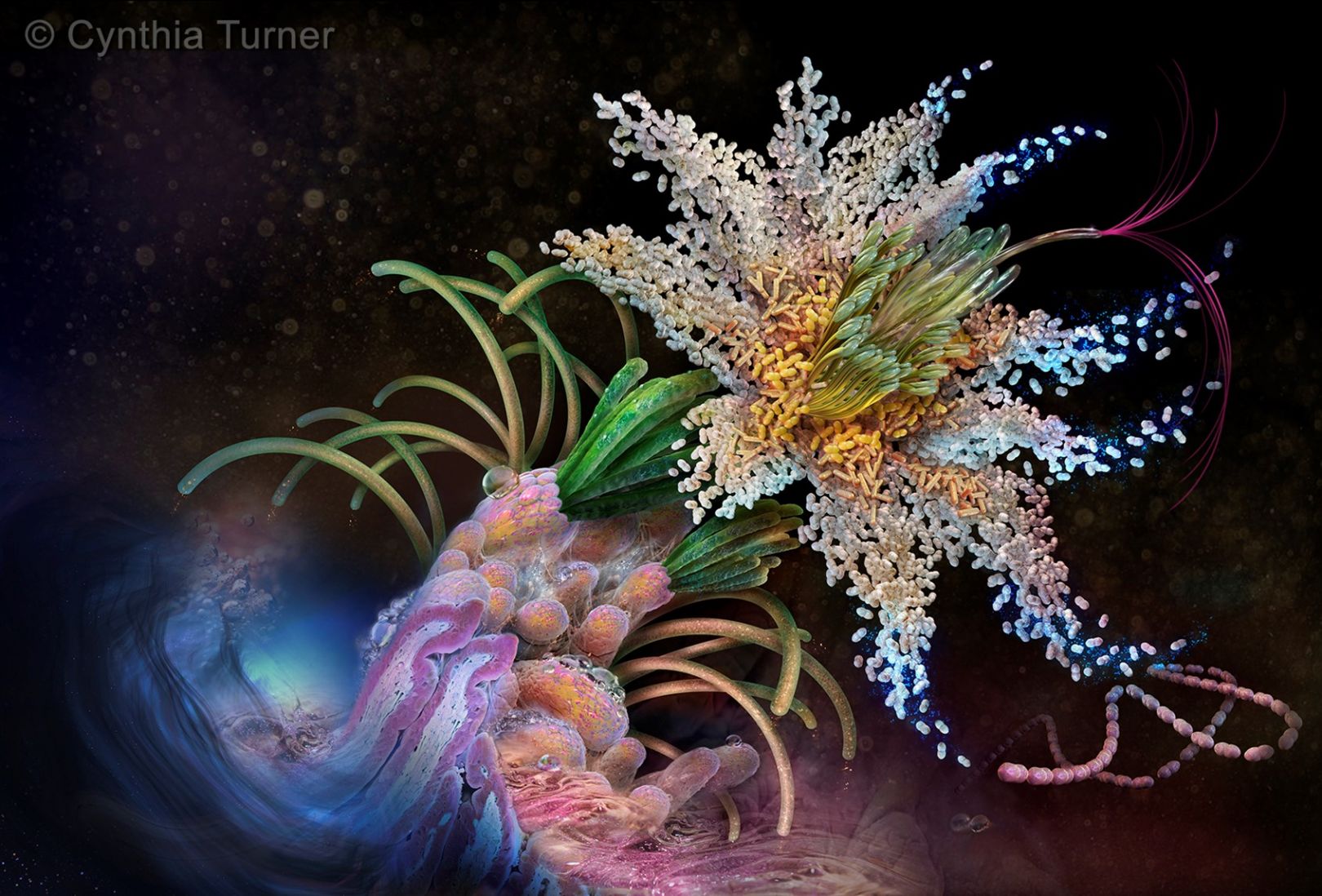 16 medical illustrators doing groundbreaking work | Creative Boom