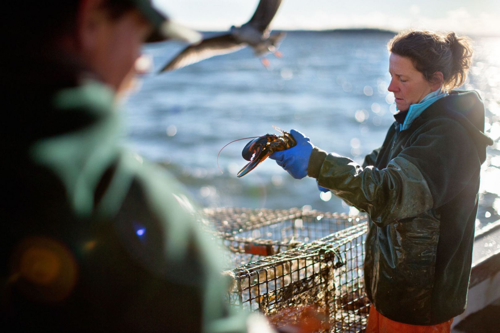The American Worker: The world's most extreme jobs caught on camera ...