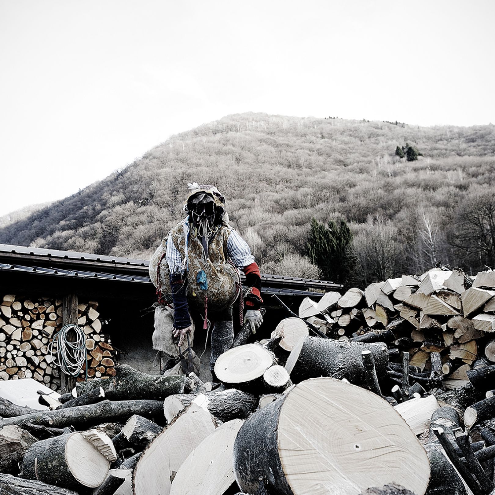 Carnival of the Uncanny: Photographer captures one of the world's most ...