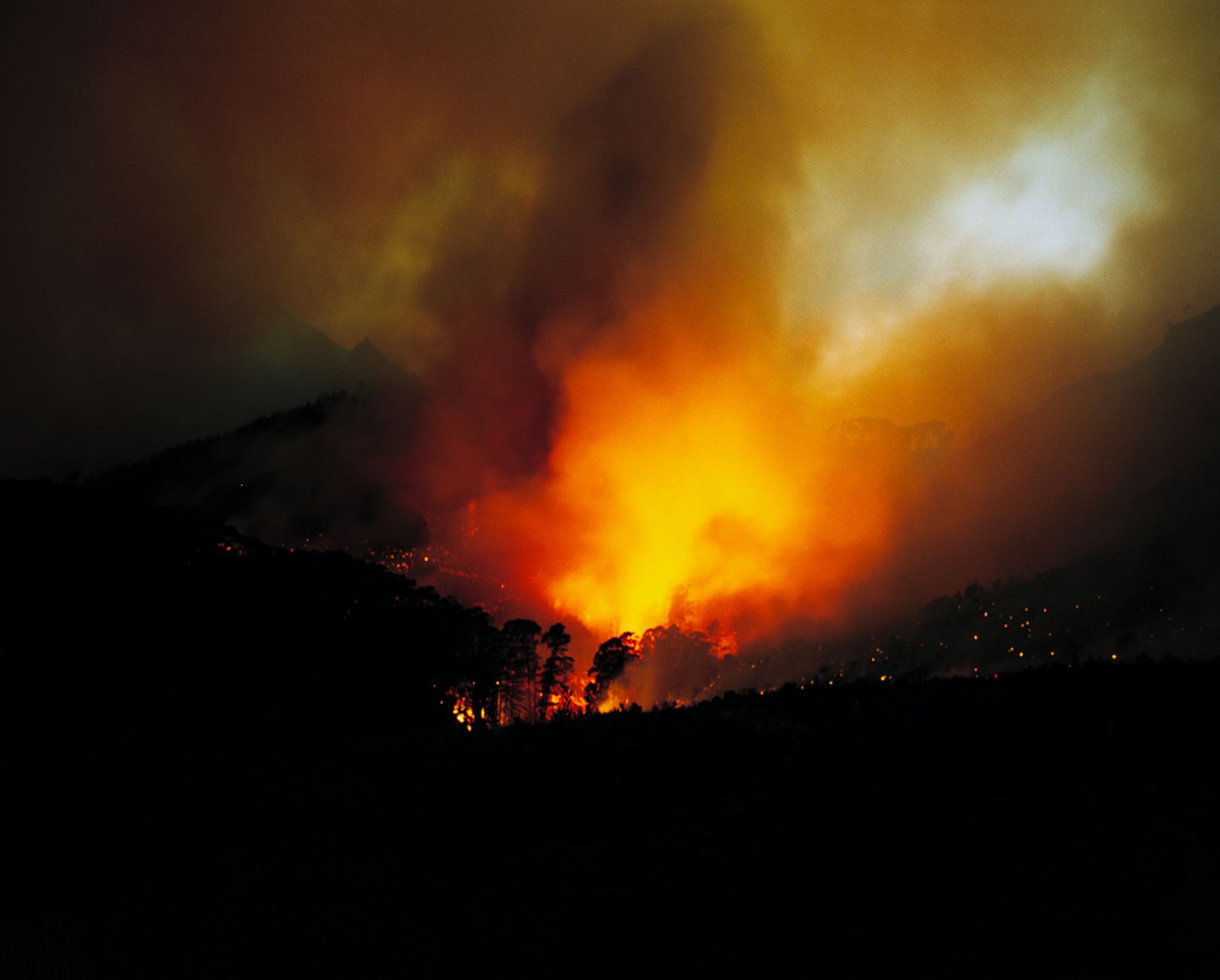 Kent Andreasen documents life through a lens, turning the ordinary into ...