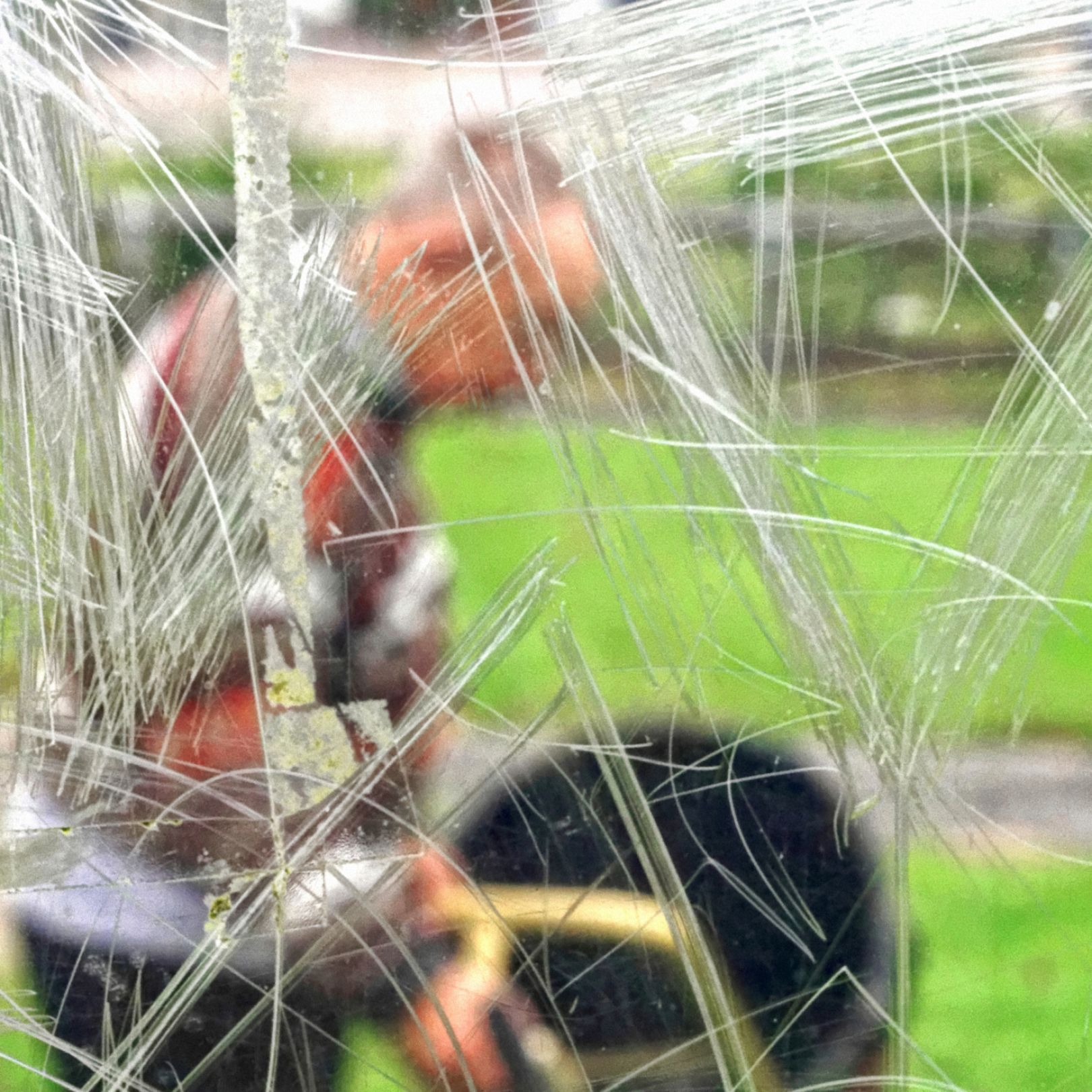 Bus Stop: Unique street photography that uses graffitied bus shelters ...