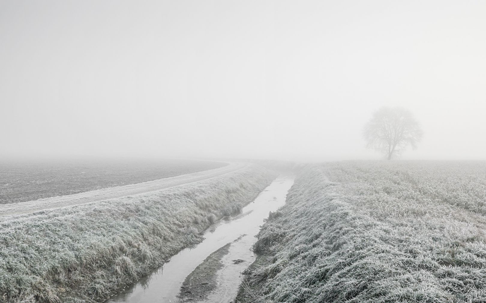 Silver Morning: Alessandro Zanoni documents a freezing winter's morning ...