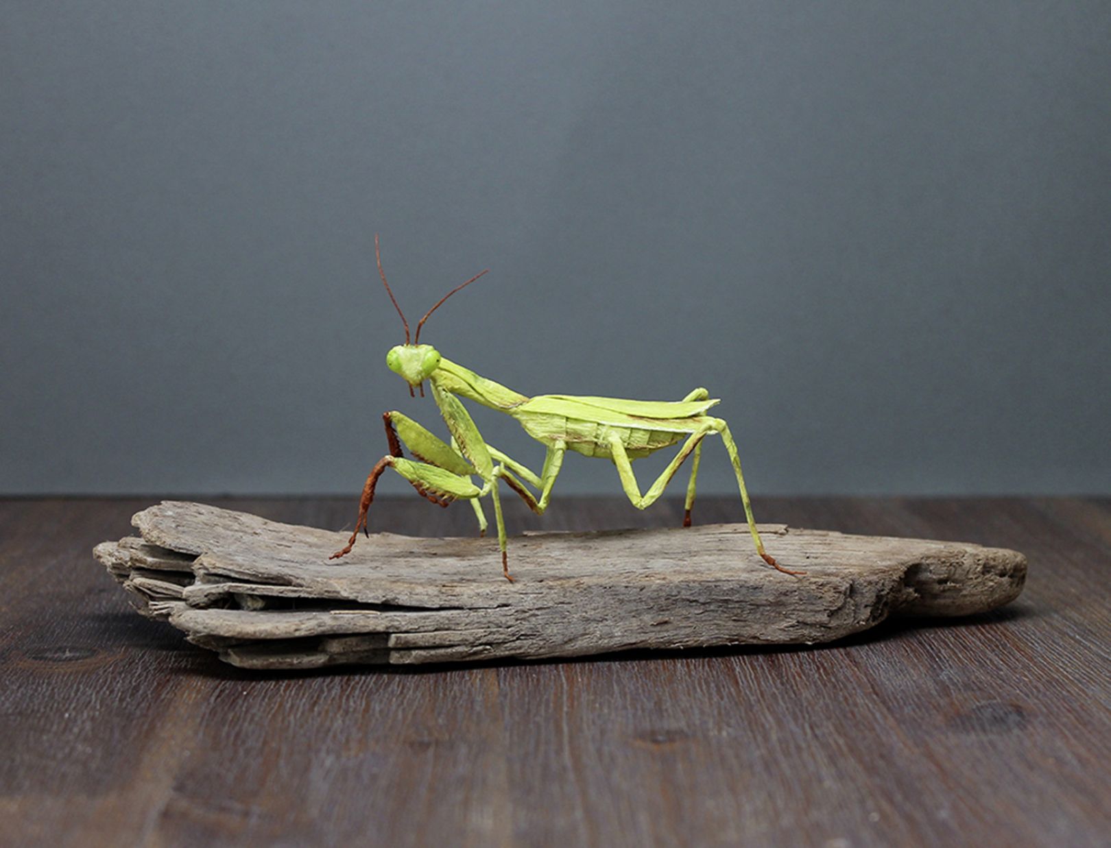 Life-like paper insects painstakingly made from fine crepe paper ...
