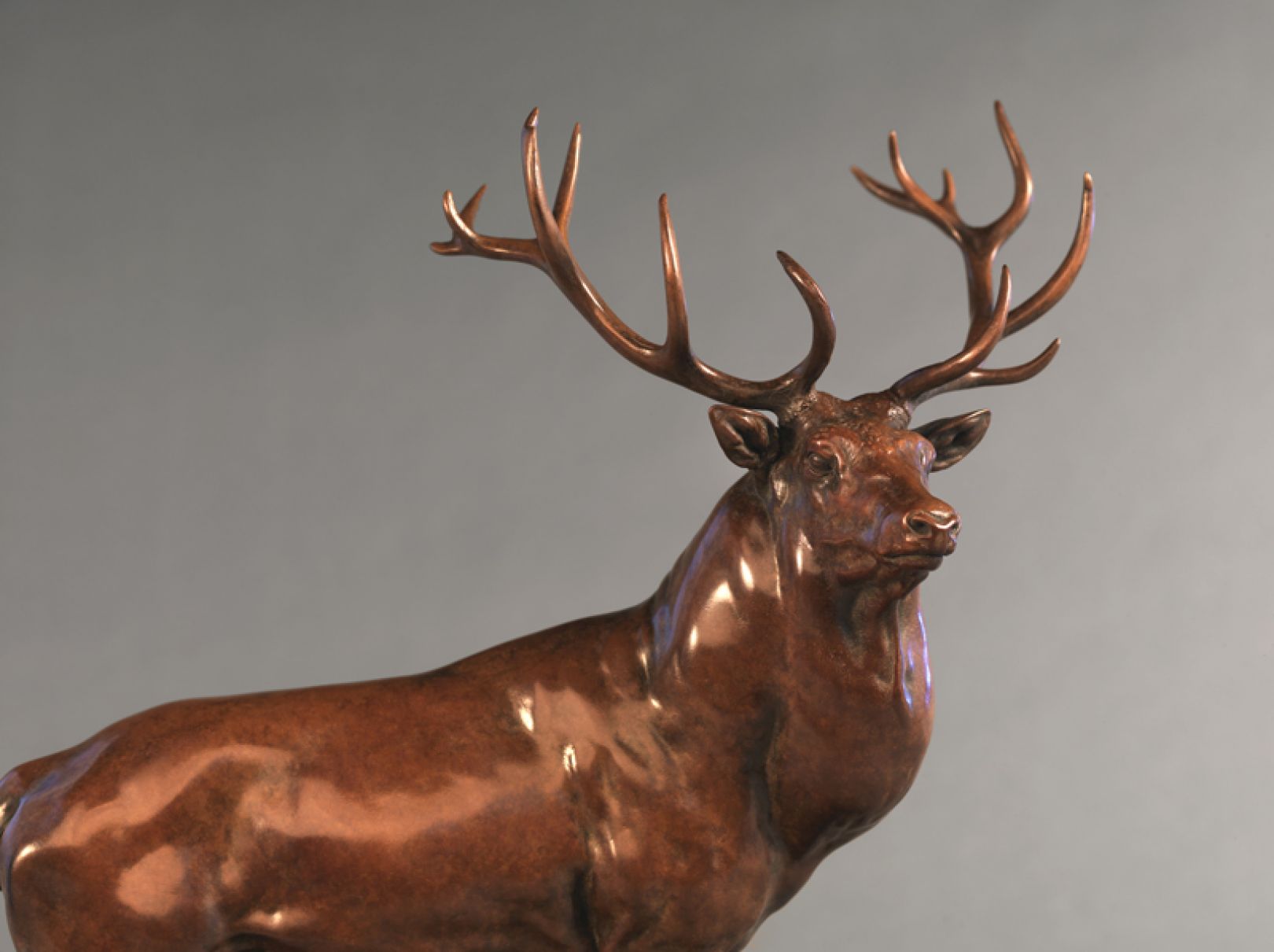 Nick Bibby is a sculpture that brings wildlife to life | Creative Boom