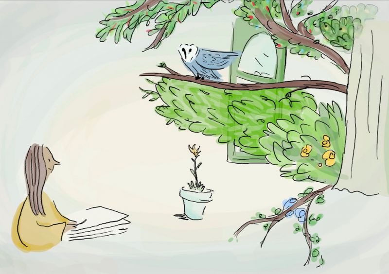 'What happened when we all stopped', a beautiful animated poem narrated ...